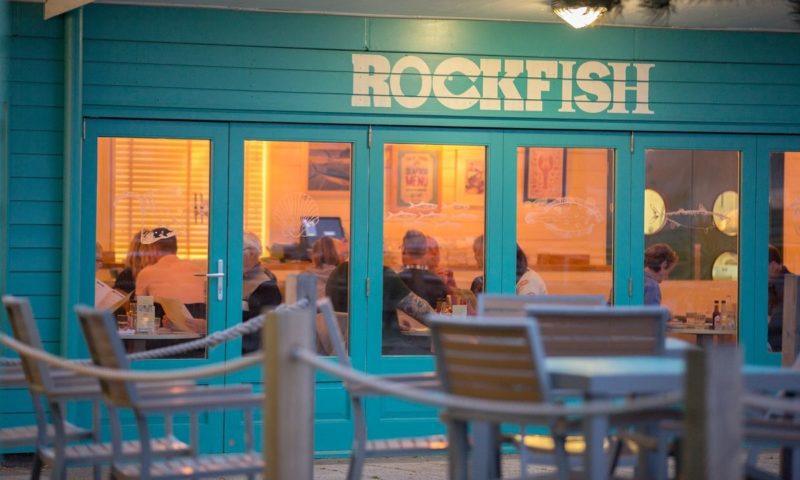 Rockfish plans expansion amid strong sales growth - Catering Today