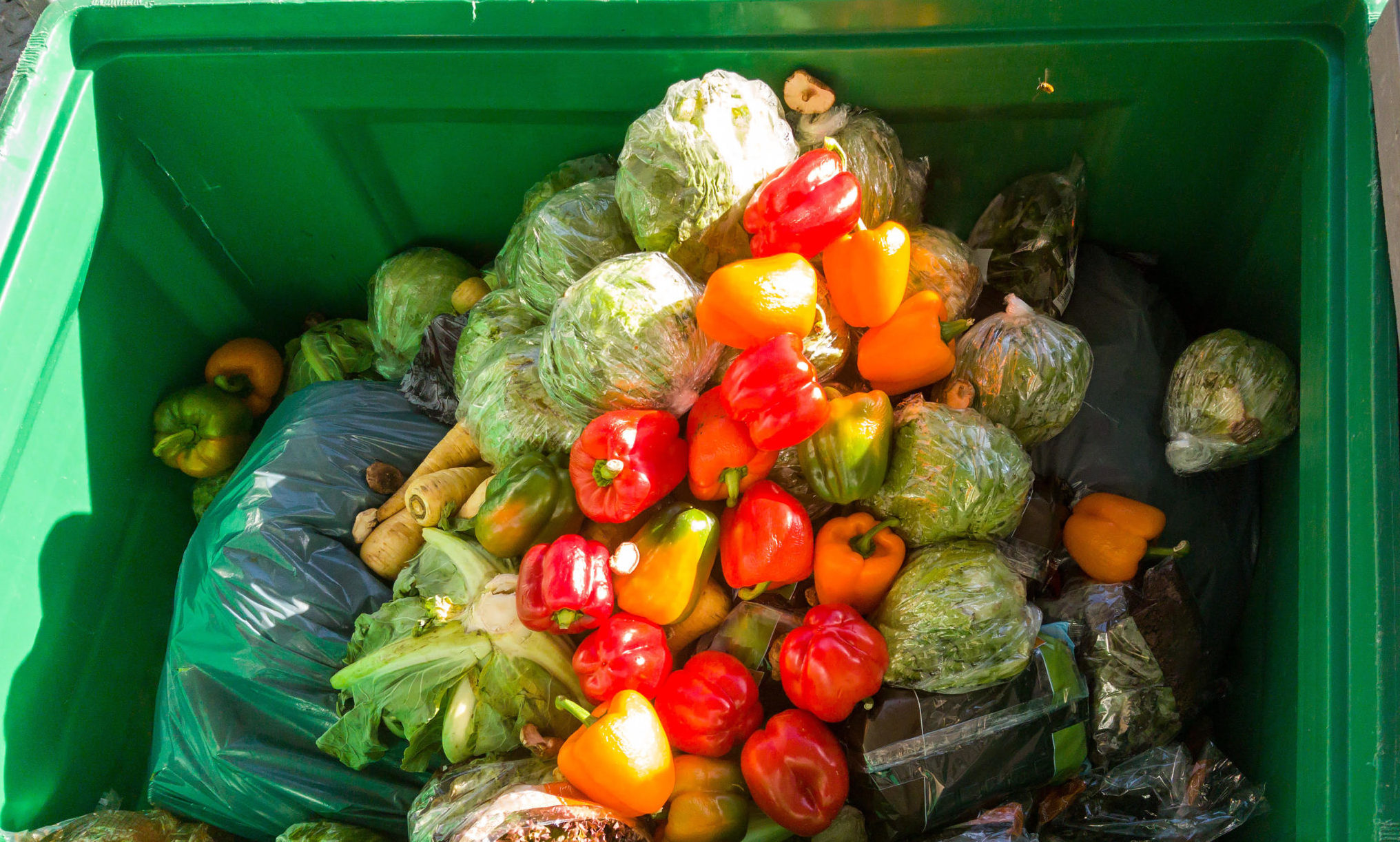 Food Waste Leaves A Bad Taste How Kitchen Technology Saves Thousands Of Pounds Worth Of Waste food-waste-leaves-a-bad-taste-how-kitchen-technology-saves-thousands-of-pounds-worth-of-waste